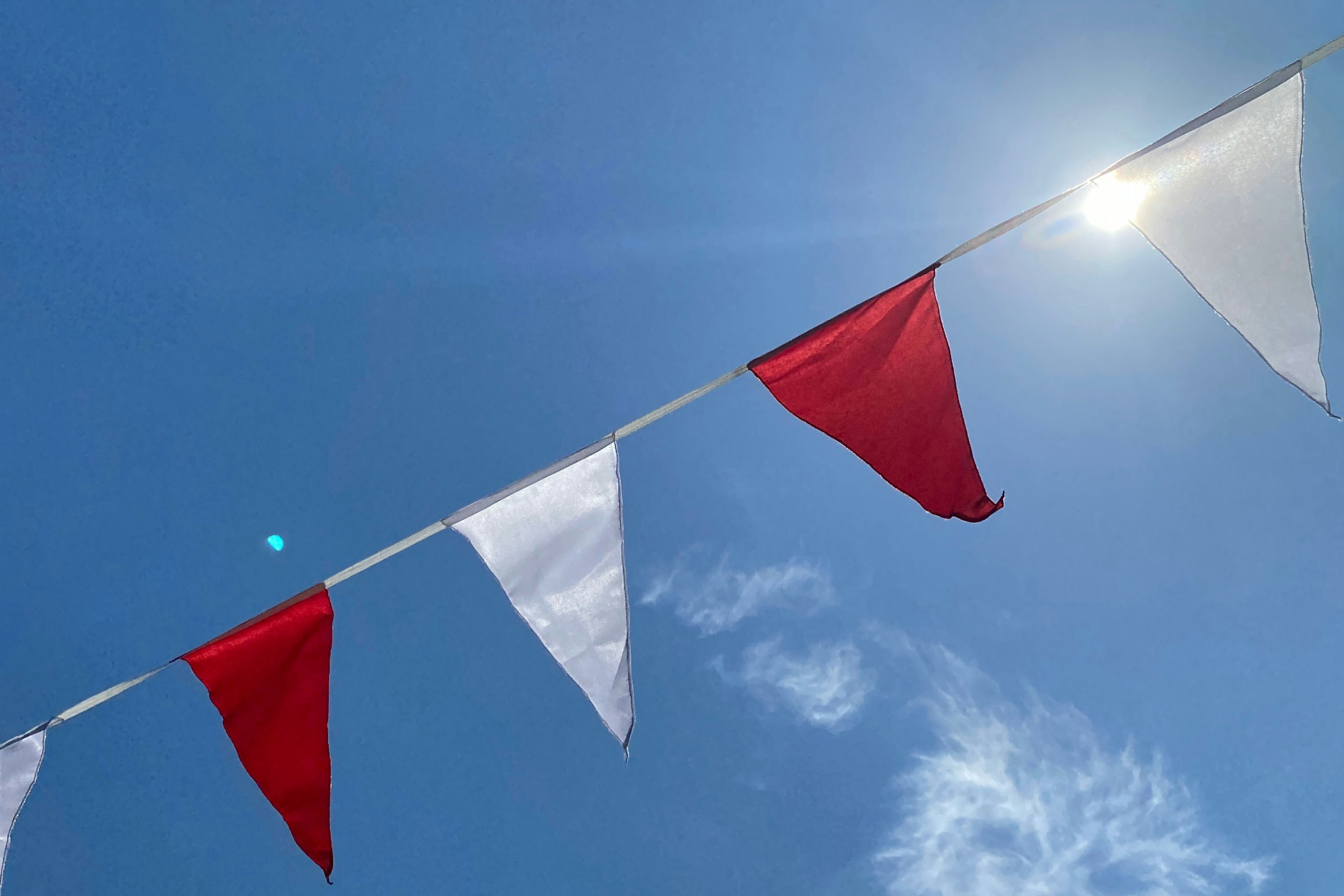 Indonesia Go-Global Marketing: To Scale SMS and Voice, Get These Key ...